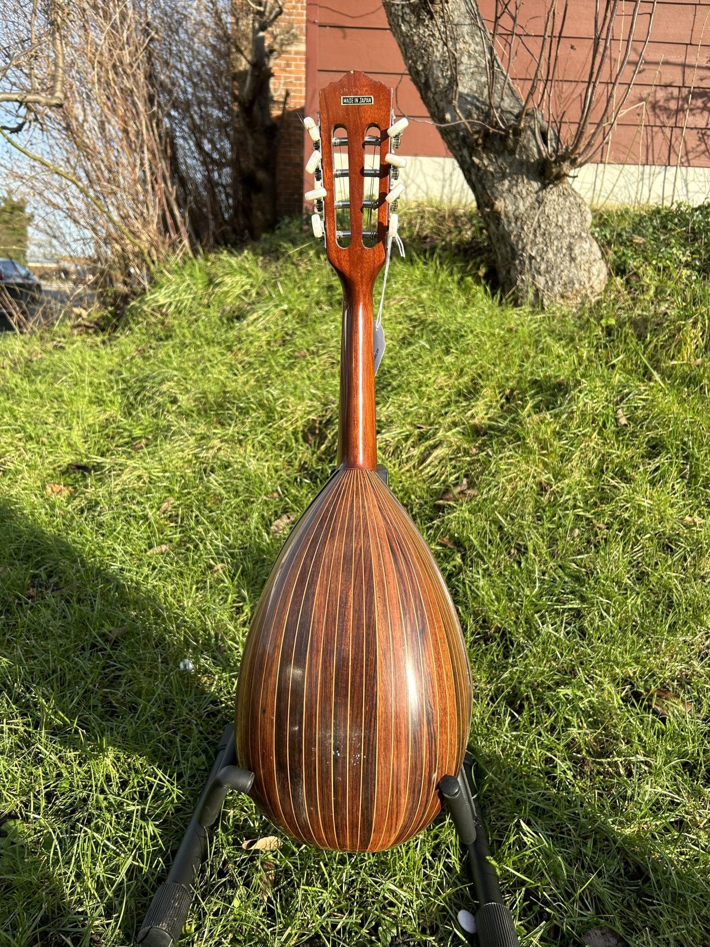 Suzuki Mandolin 1975 | Lars Green Musik